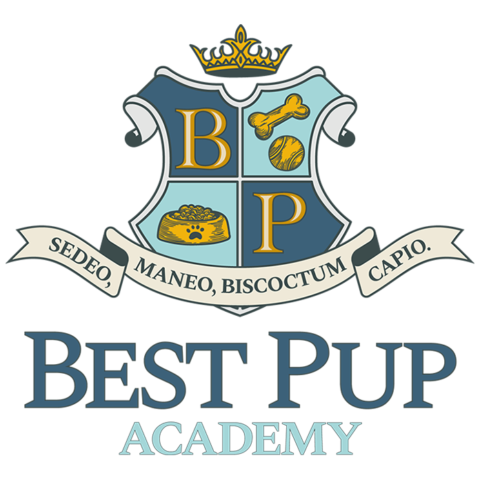 Bookable Training Courses - Best Pup Academy