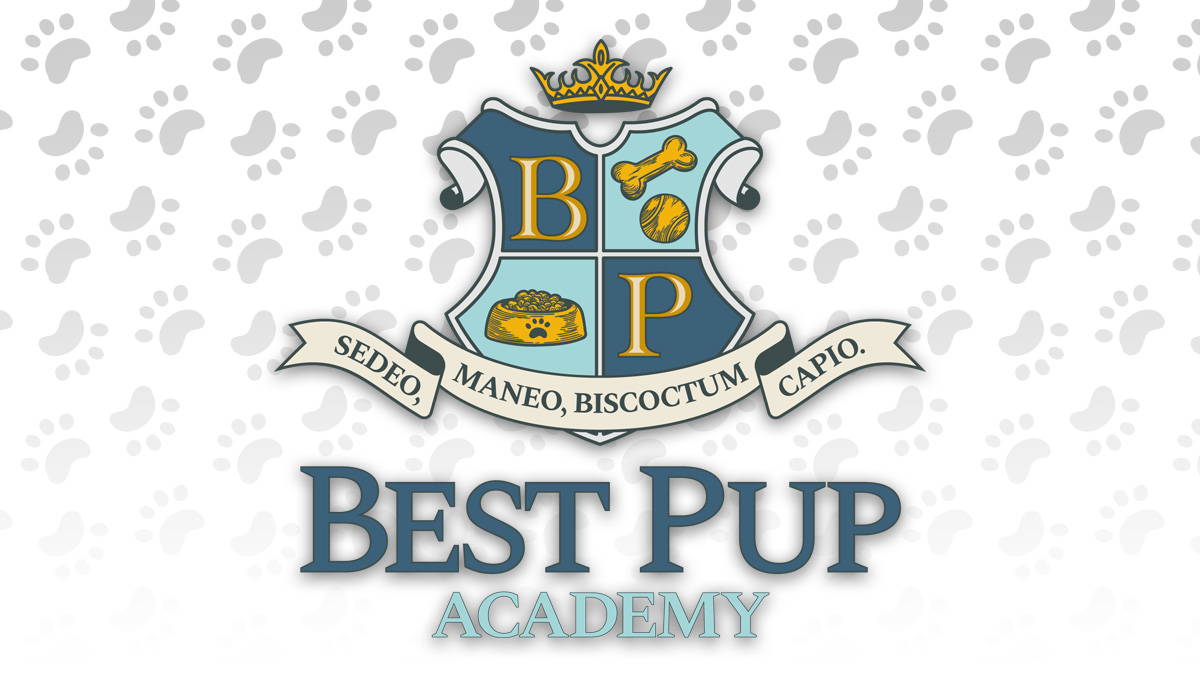 Our Graduates - Best Pup Academy